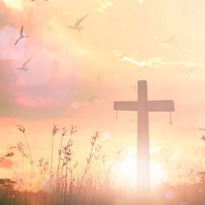 Transformed: Past, Present, Future · Nelson Covenant Church